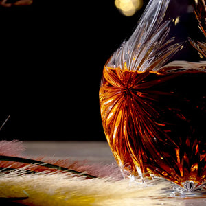 3_900W.webp?v=1684662334&width=300